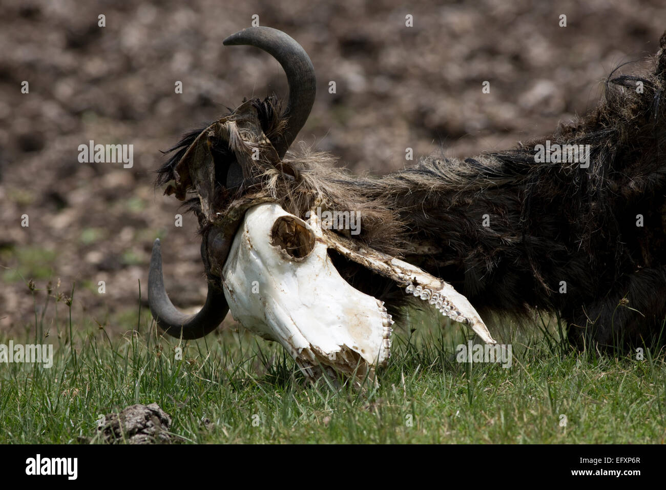 Drought island hi-res stock photography and images - Alamy