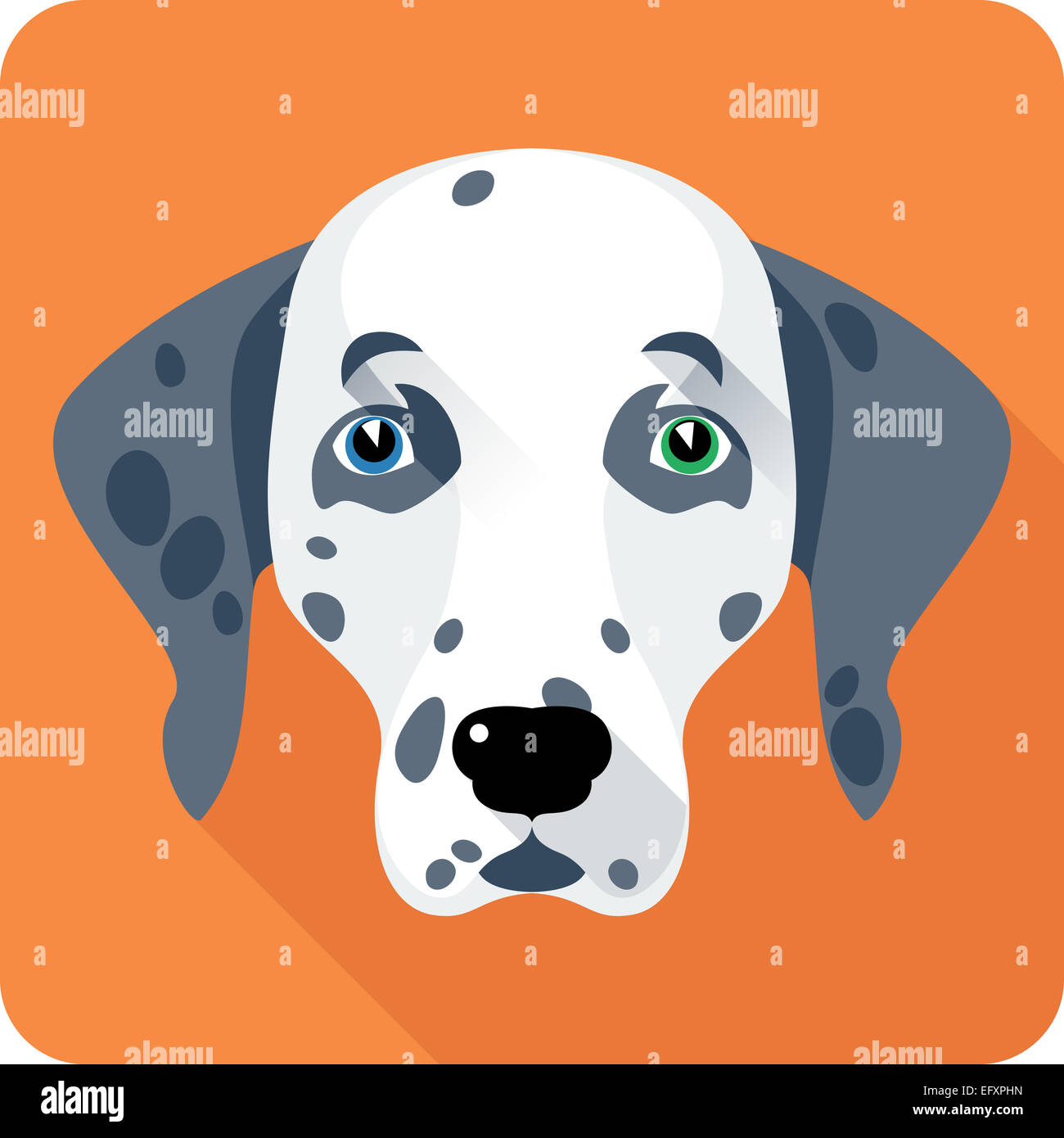 dog Dalmatian icon flat design Stock Photo - Alamy