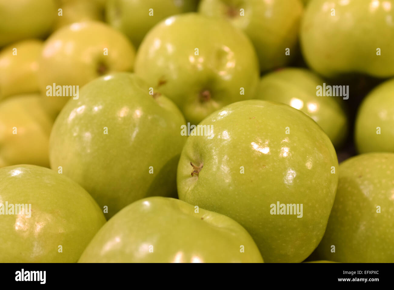 Lovely green yellow fresh apples, fruit, were selected to be ...