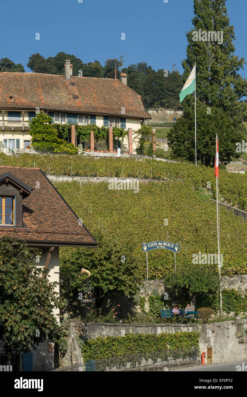Epesses, Vineyards , Lavaux region, Lake Geneva, Swiss Alps ...