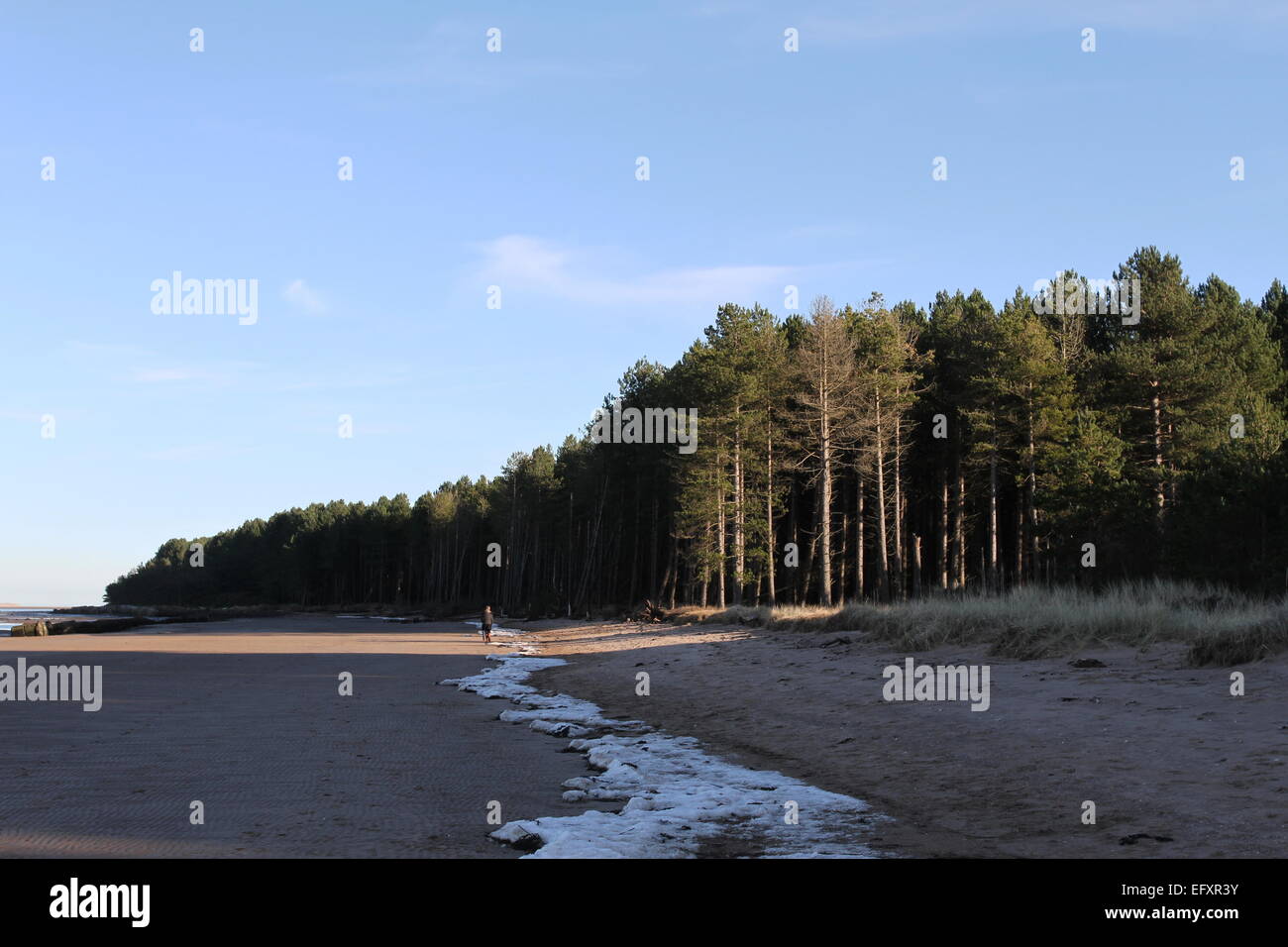 Snow at high water mark Tentsmuir forest Fife Scotland February 2015 ...