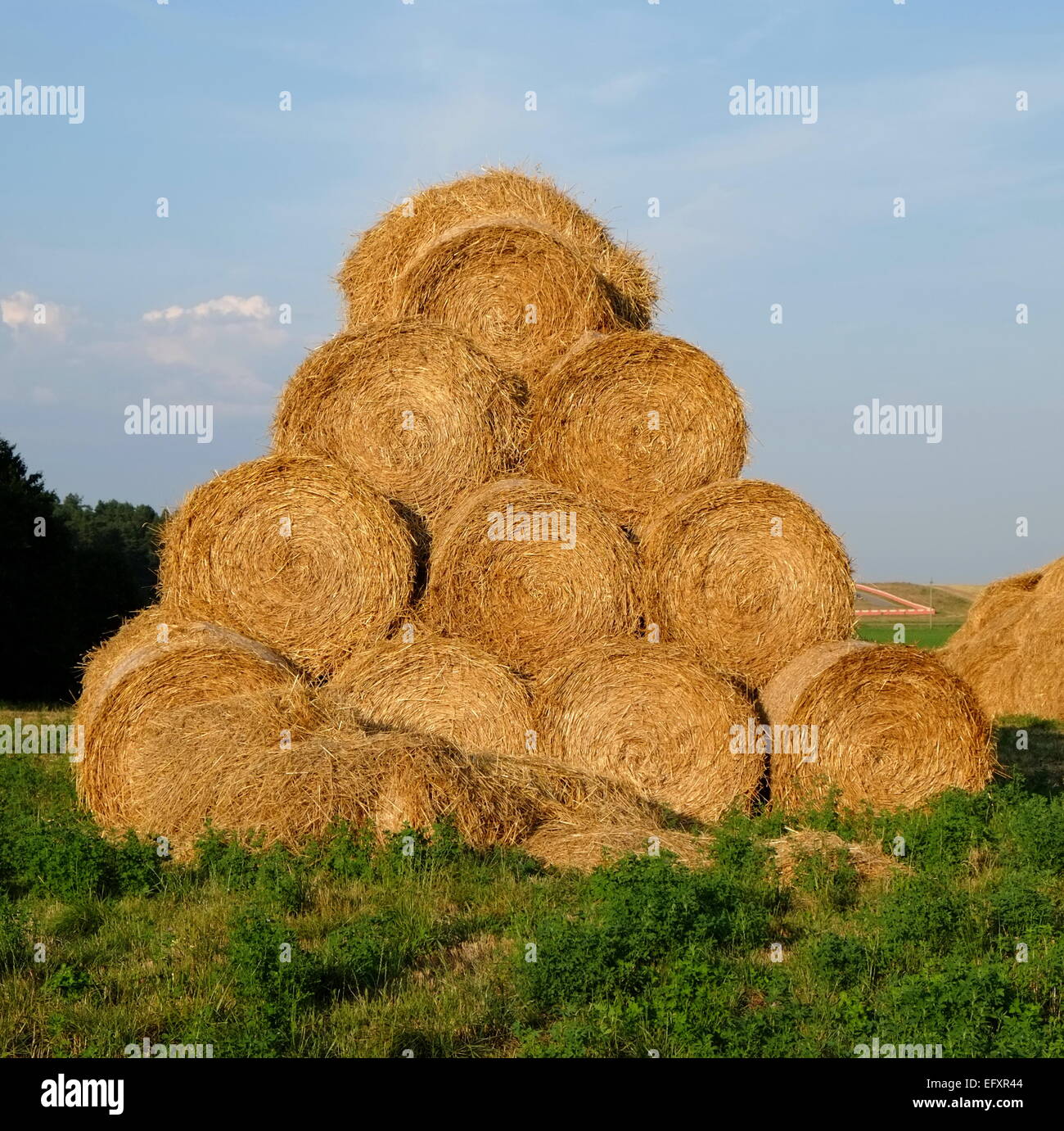 Yellow straw bale pyramid on a background of blue sky Stock Photo - Alamy