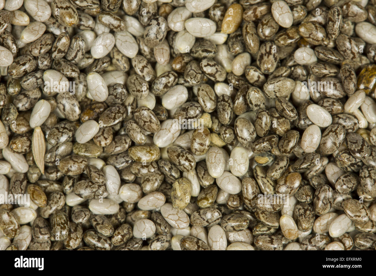 Top view of chia seeds. Can be used as background. The people of the ...