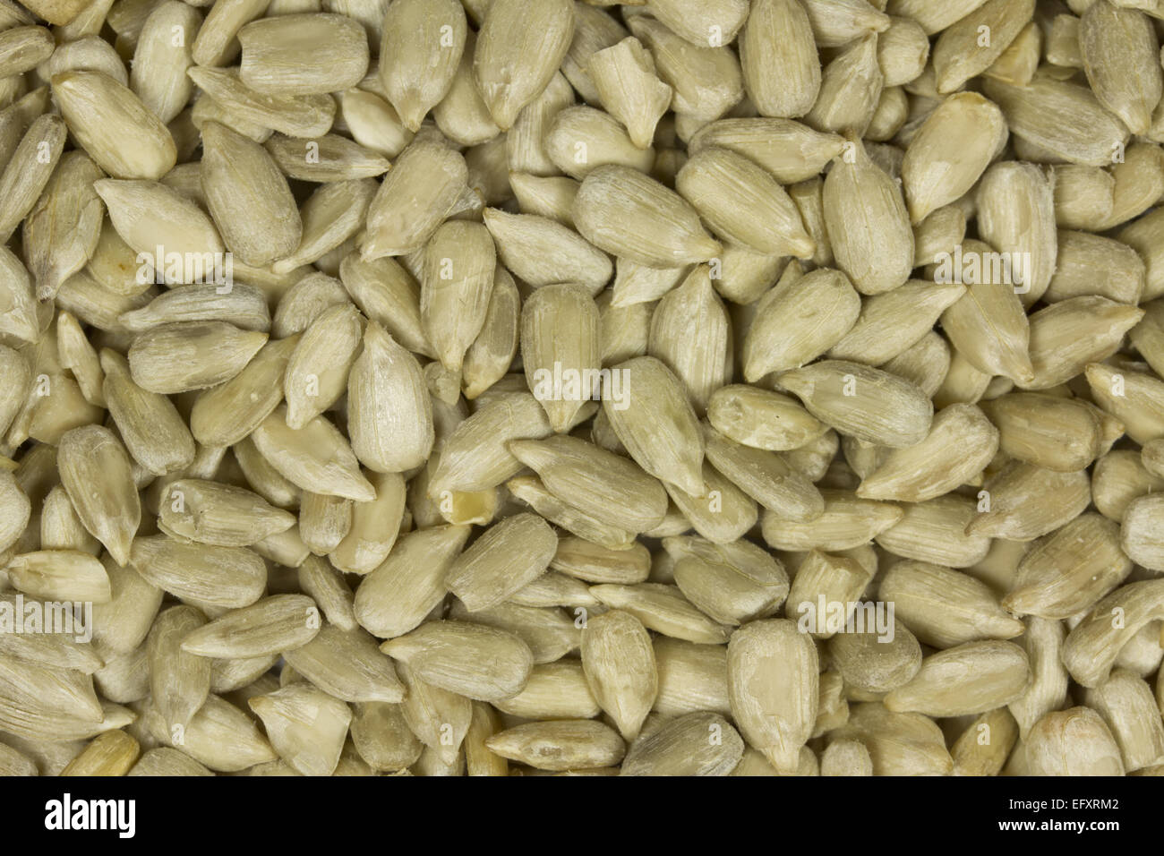 Top view of sunflower seed kernels. Can be used as background Stock ...