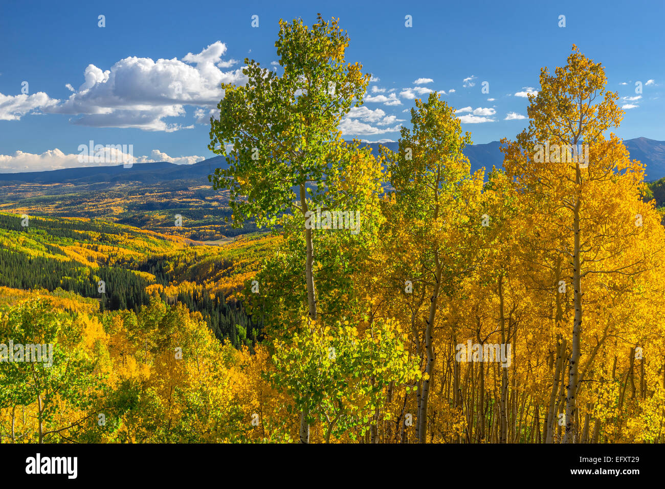 Gunnison National Forest, Colorado: Over view from Ohio Pass with aspen ...