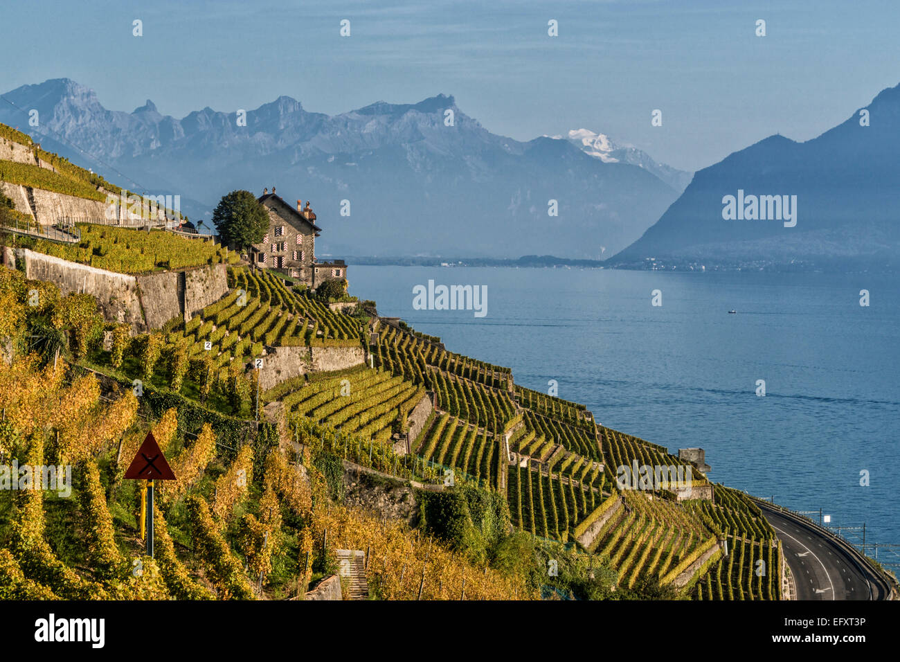 Vineyards , Lavaux region, Lake Geneva, Swiss Alps, Switzerland Stock ...
