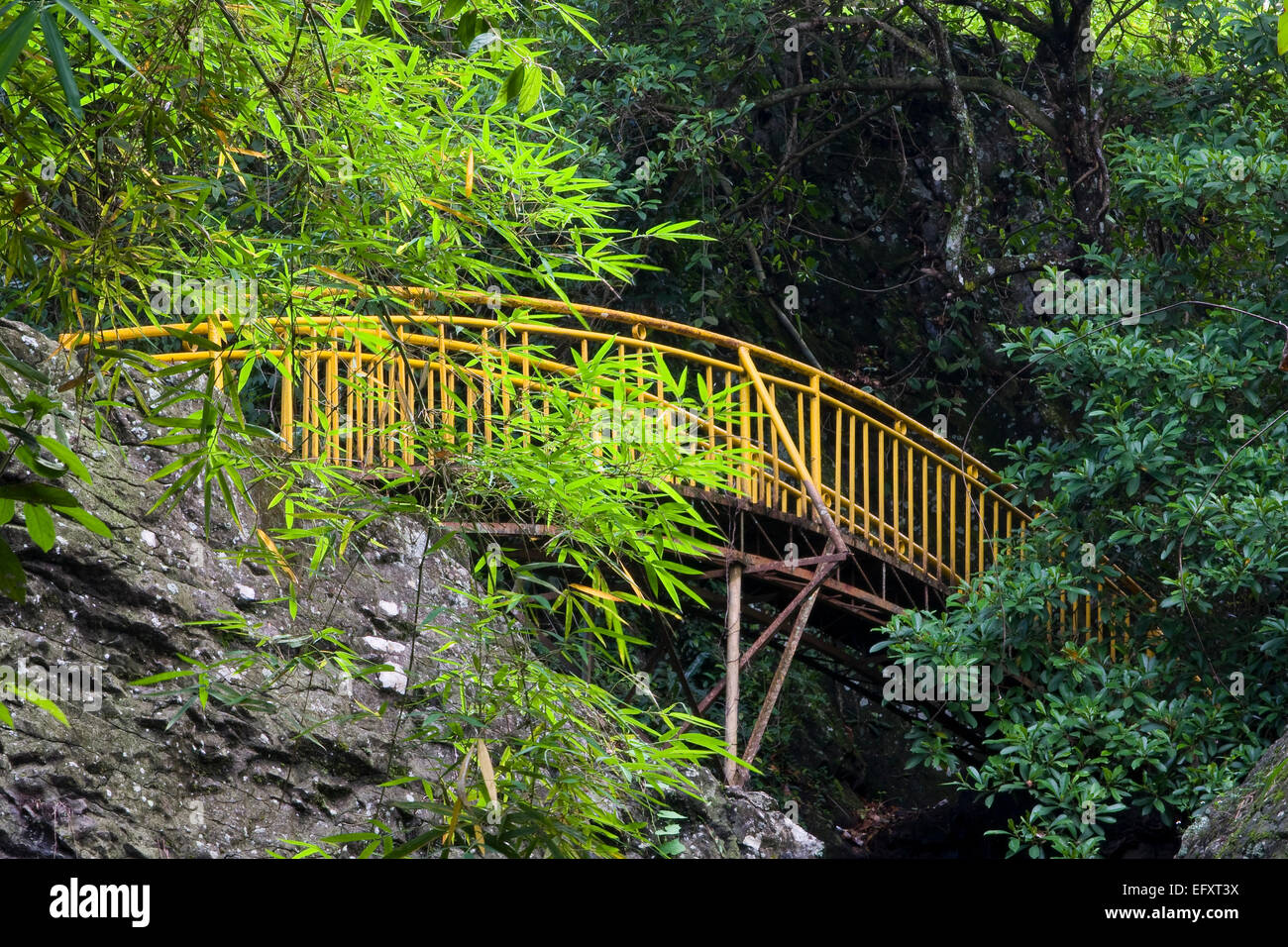 Bridge neart Datanla Waterfall,Dalat, Vietnam Stock Photo - Alamy