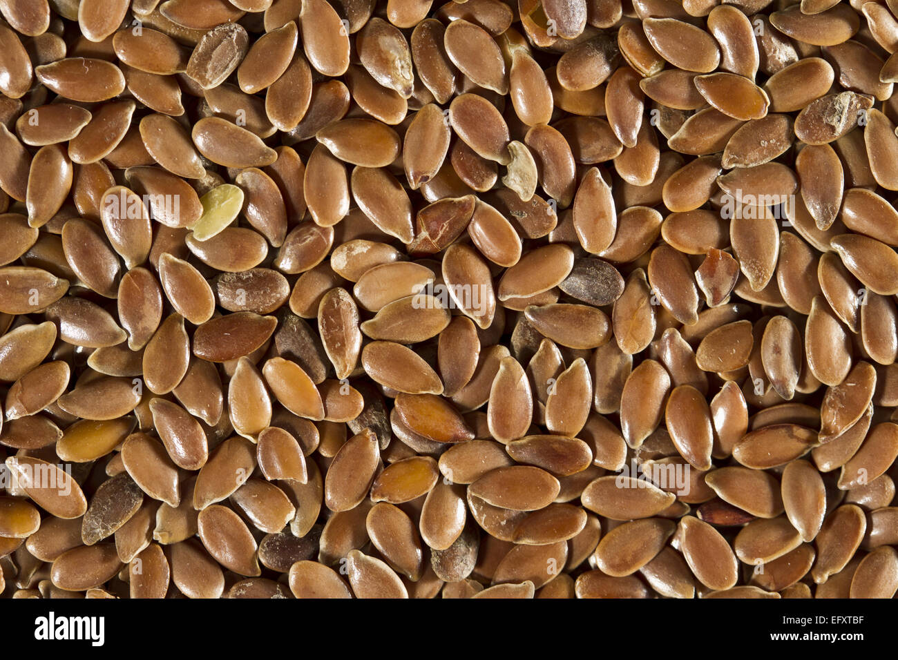 Flax seed up close hi-res stock photography and images - Alamy