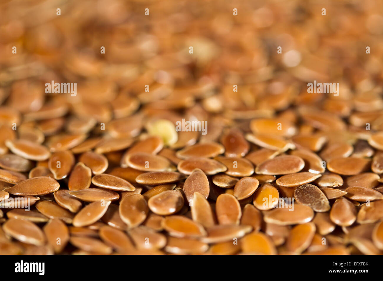 Dried brown flax seeds. Can be used as background. Flax is also known as common flax or linseed ...