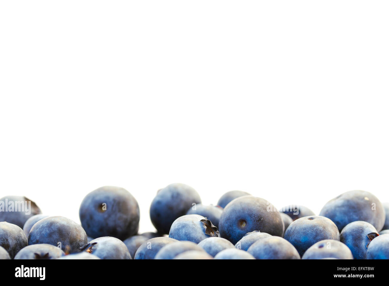 Fresh organic blue berries. Side view on white background. Copy Space ...