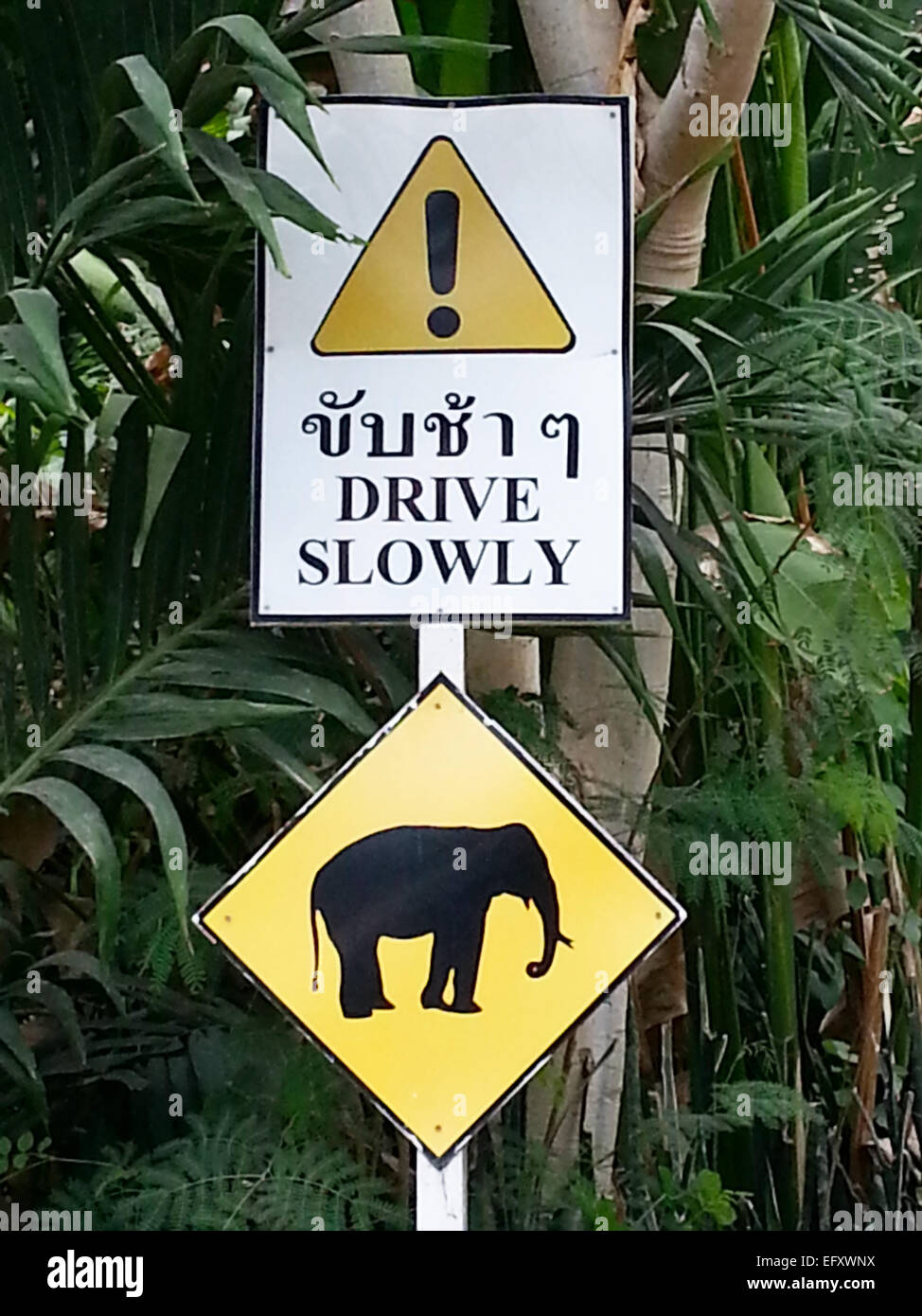 Road Sign Elephant Warning Thailand Stock Photo - Alamy