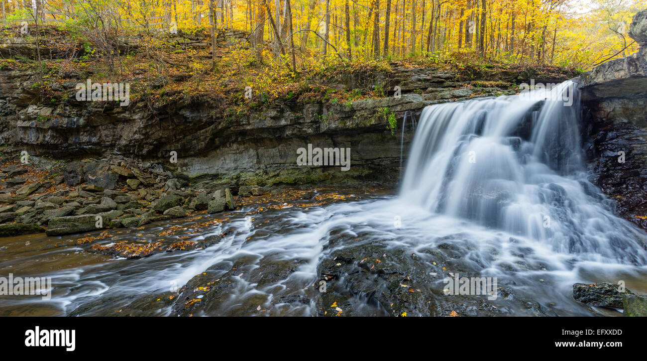 McCormick's Creek State Park, Indiana: McCormick's Creek Falls in ...