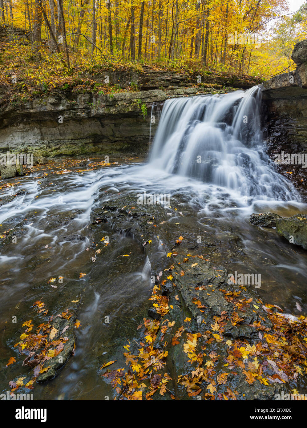 McCormick's Creek State Park, Indiana: McCormick's Creek Falls in ...