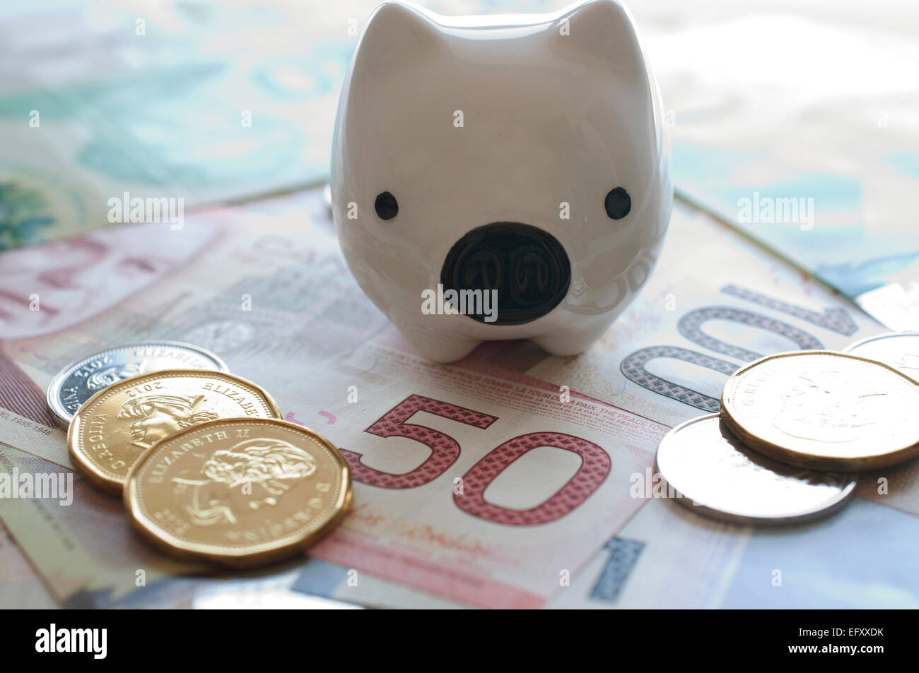 Piggy bank on Canadian money background Stock Photo - Alamy