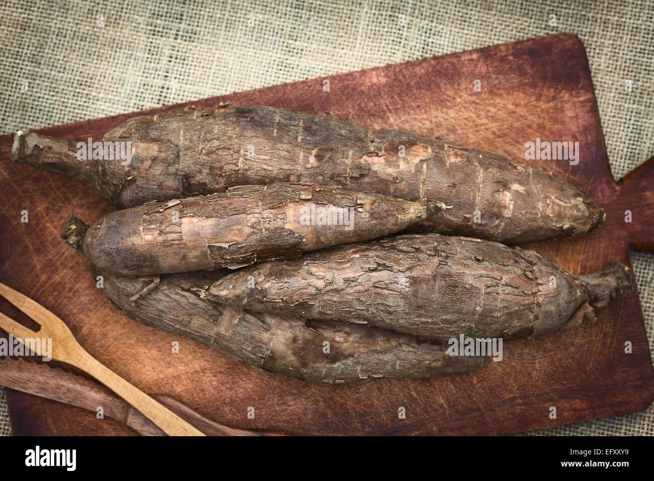 Tapioca manihot esculenta hi-res stock photography and images - Alamy