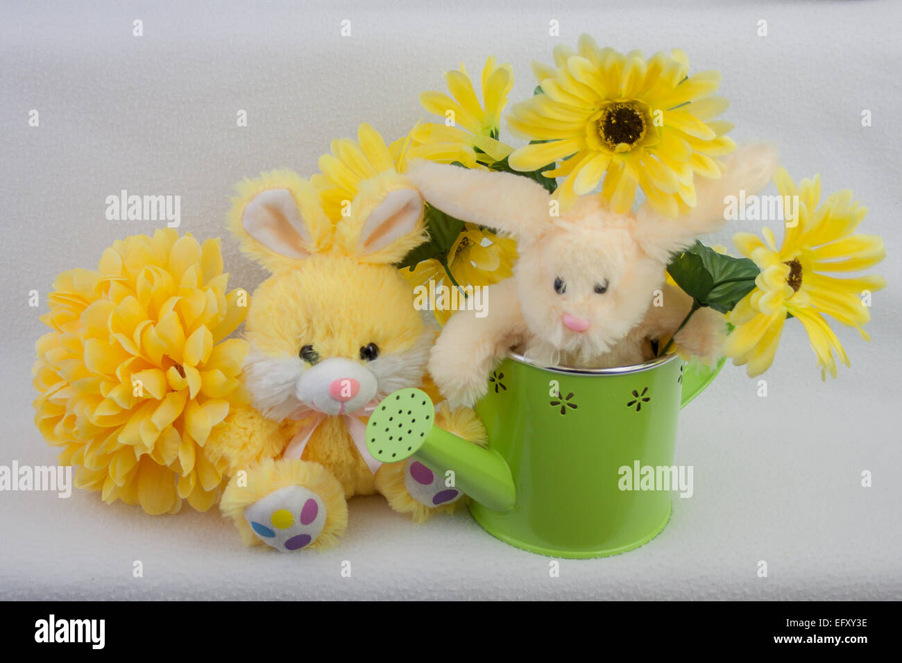 Spring time bunnies in a garden theme setting. green watering can and ...