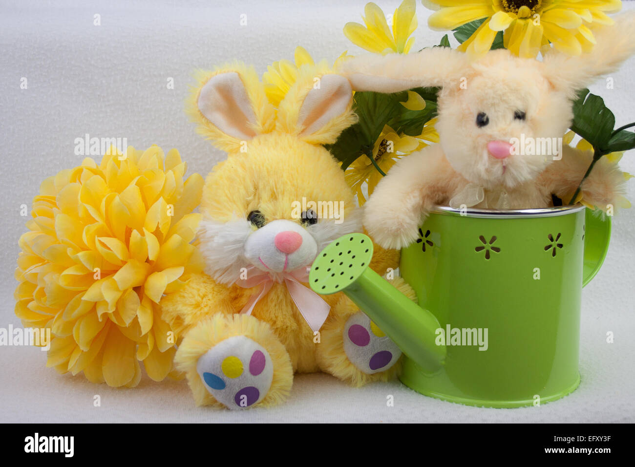 Spring Bunnies High Resolution Stock Photography and Images - Alamy