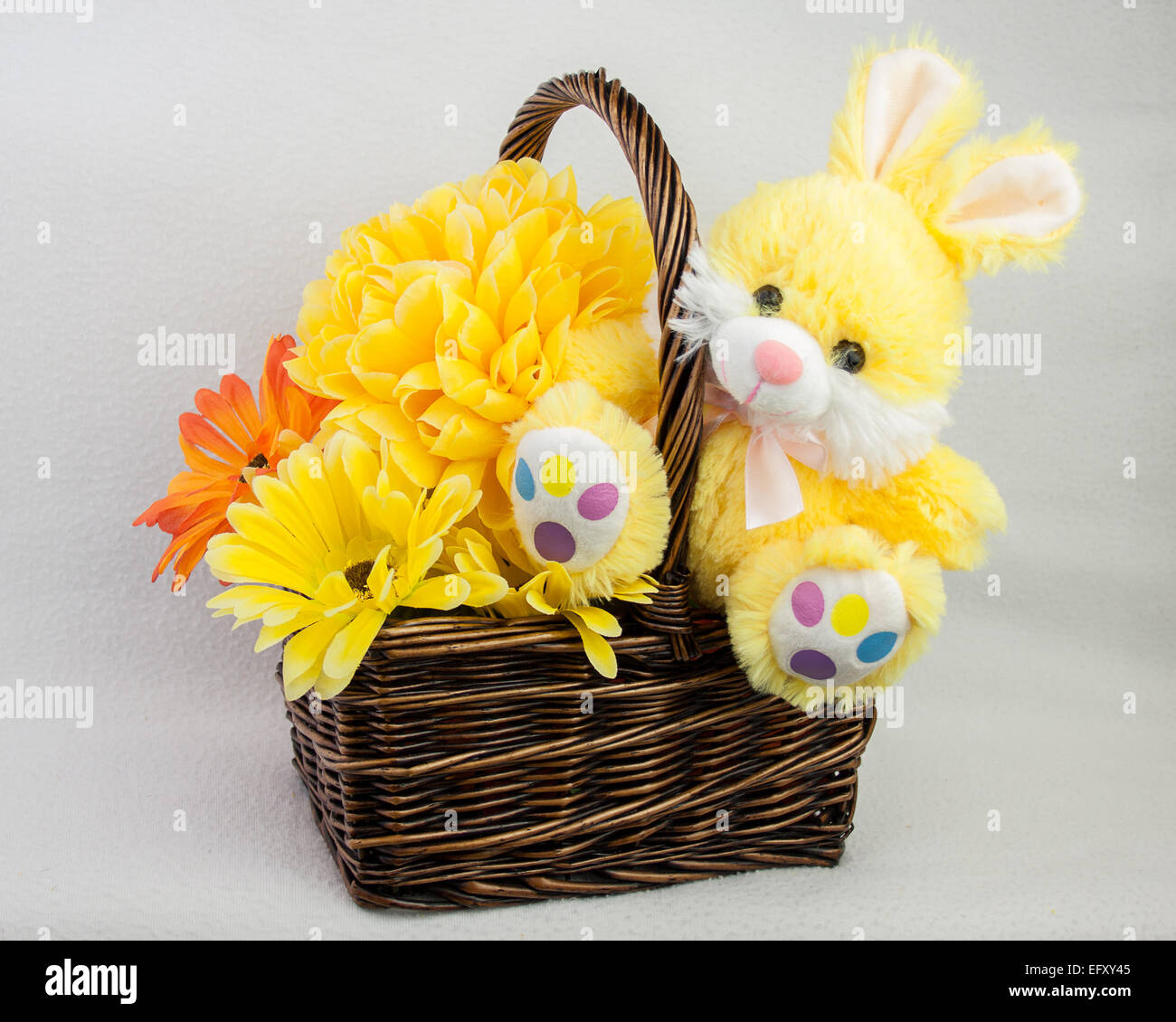 Spring bunny flower hi-res stock photography and images - Alamy