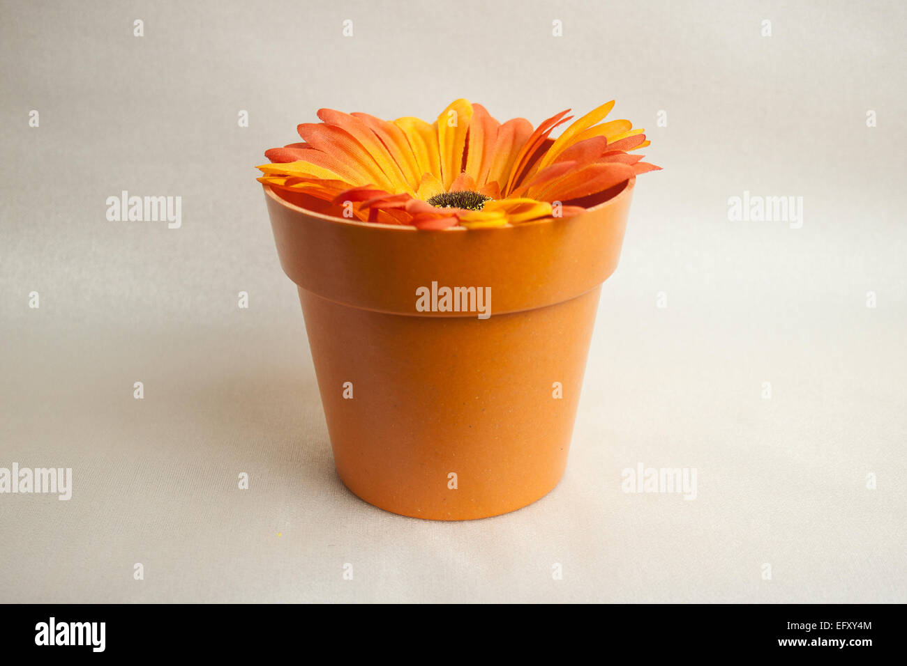 orange shades of Spring Stock Photo - Alamy