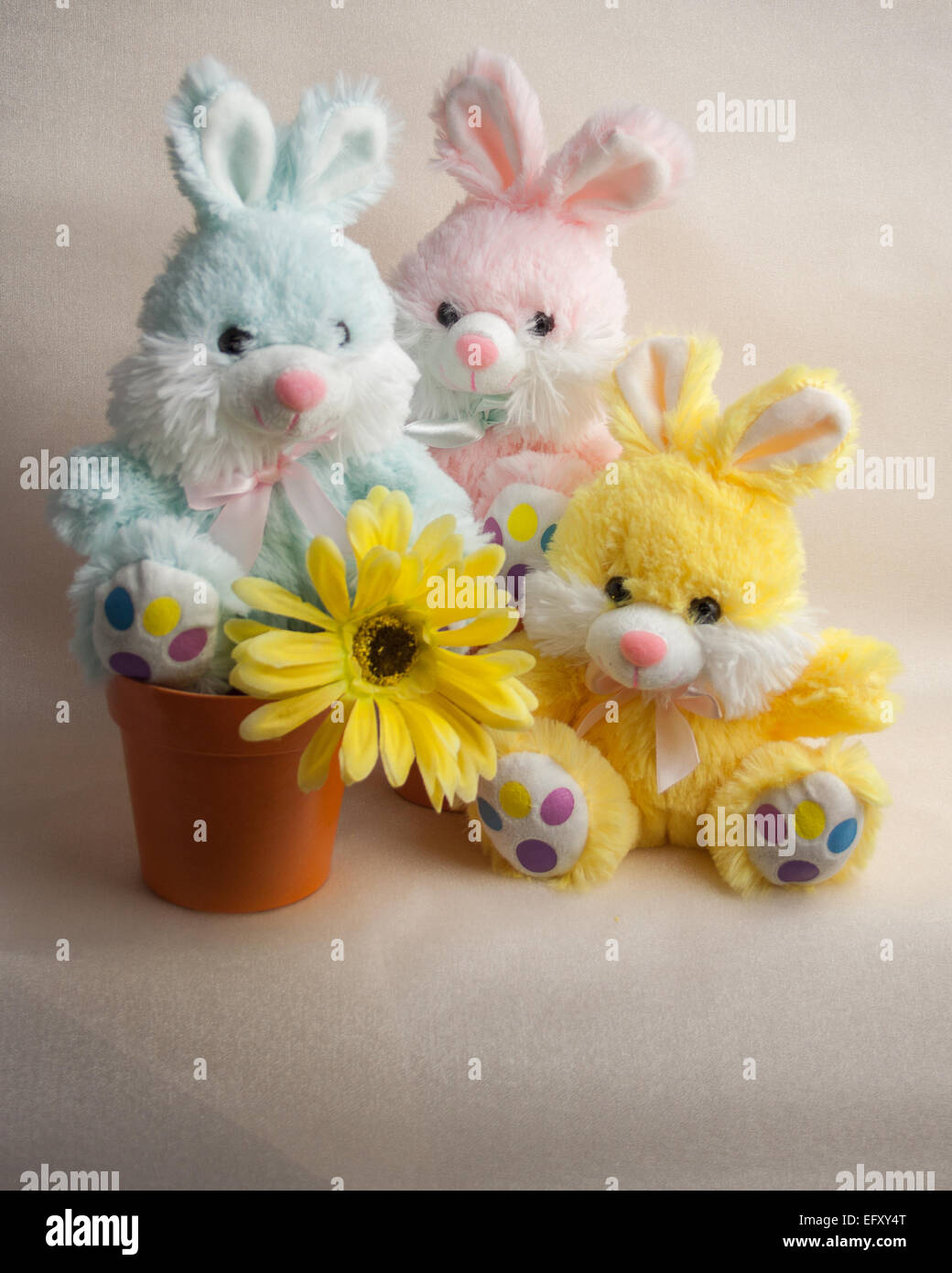 Spring bunnies hi-res stock photography and images - Alamy