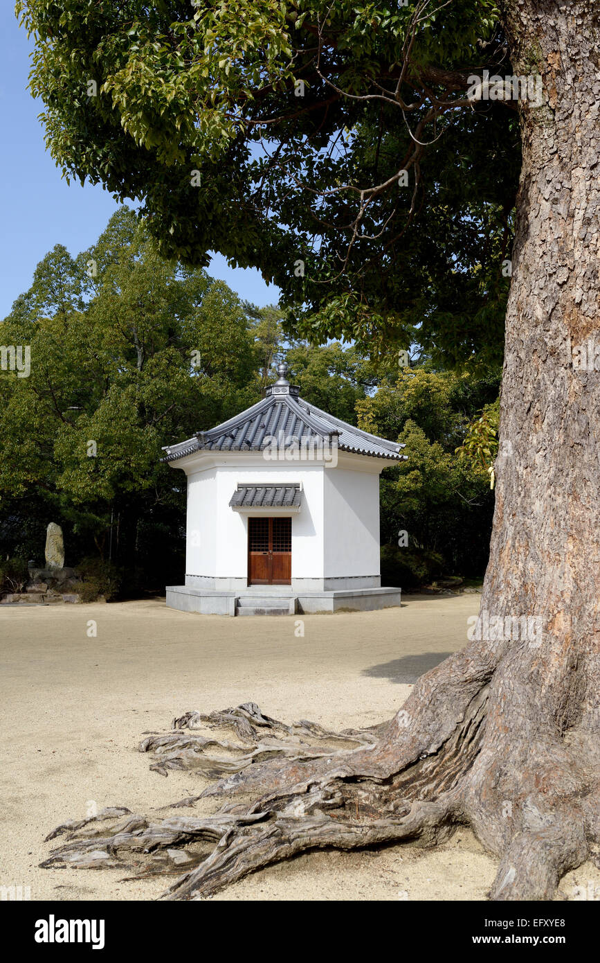 Vintage Japanese temple with camphor tree Stock Photo - Alamy