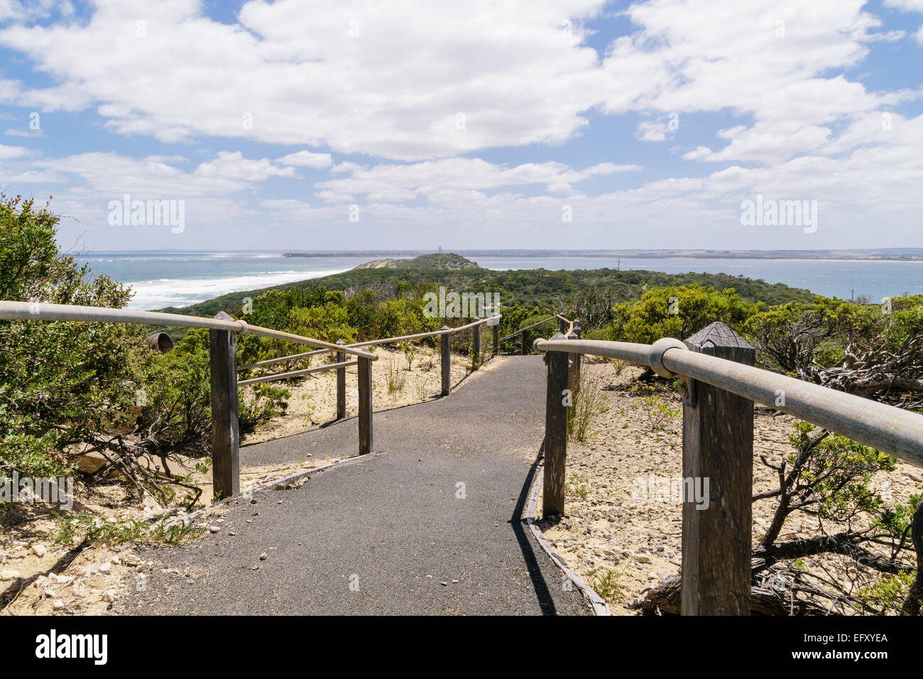 Path leading up to Cheviot Hill, Point Nepean National Park, Portsea ...