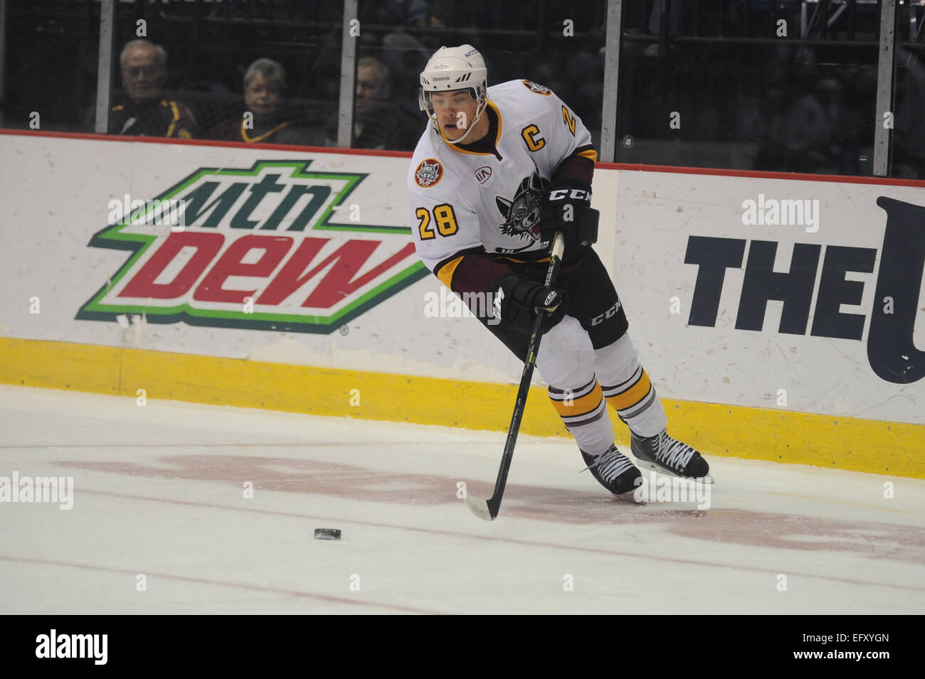 Rosemont, IL, USA. 11th Feb, 2015. Chicago Wolves' Brent Regner (28 ...