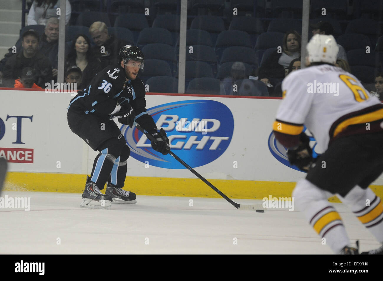Rosemont, IL, USA. 11th Feb, 2015. Milwaukee Admirals' Richard Clune ...