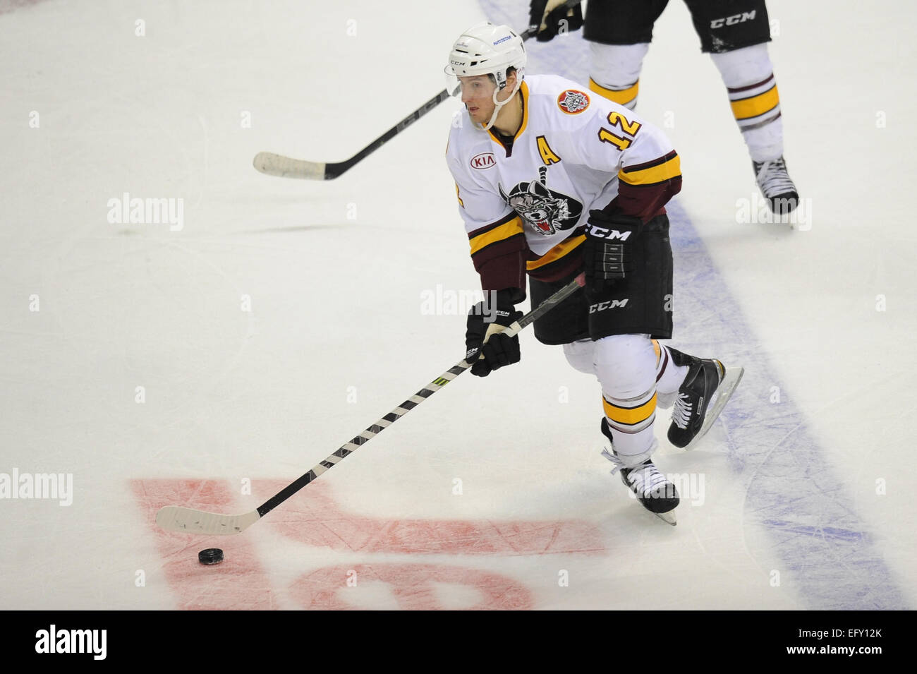 Rosemont, IL, USA. 11th Feb, 2015. Chicago Wolves' Pat Cannone (12 ...