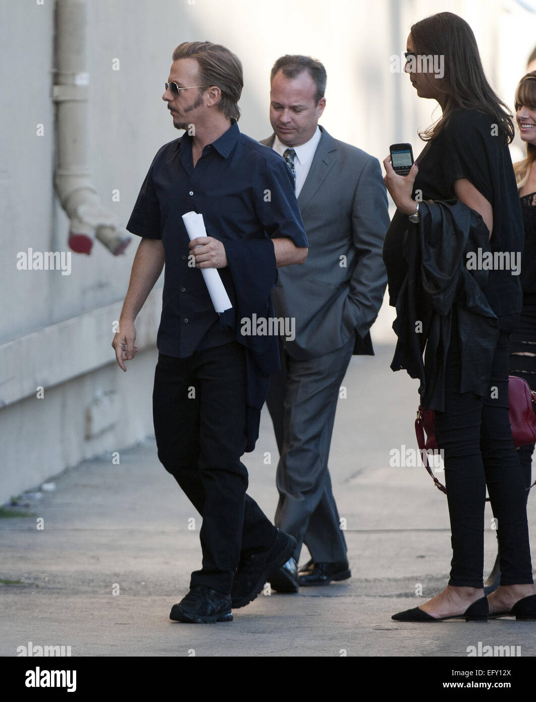 Hollywood, California, USA. 11th Feb, 2015. American actor and comedian ...