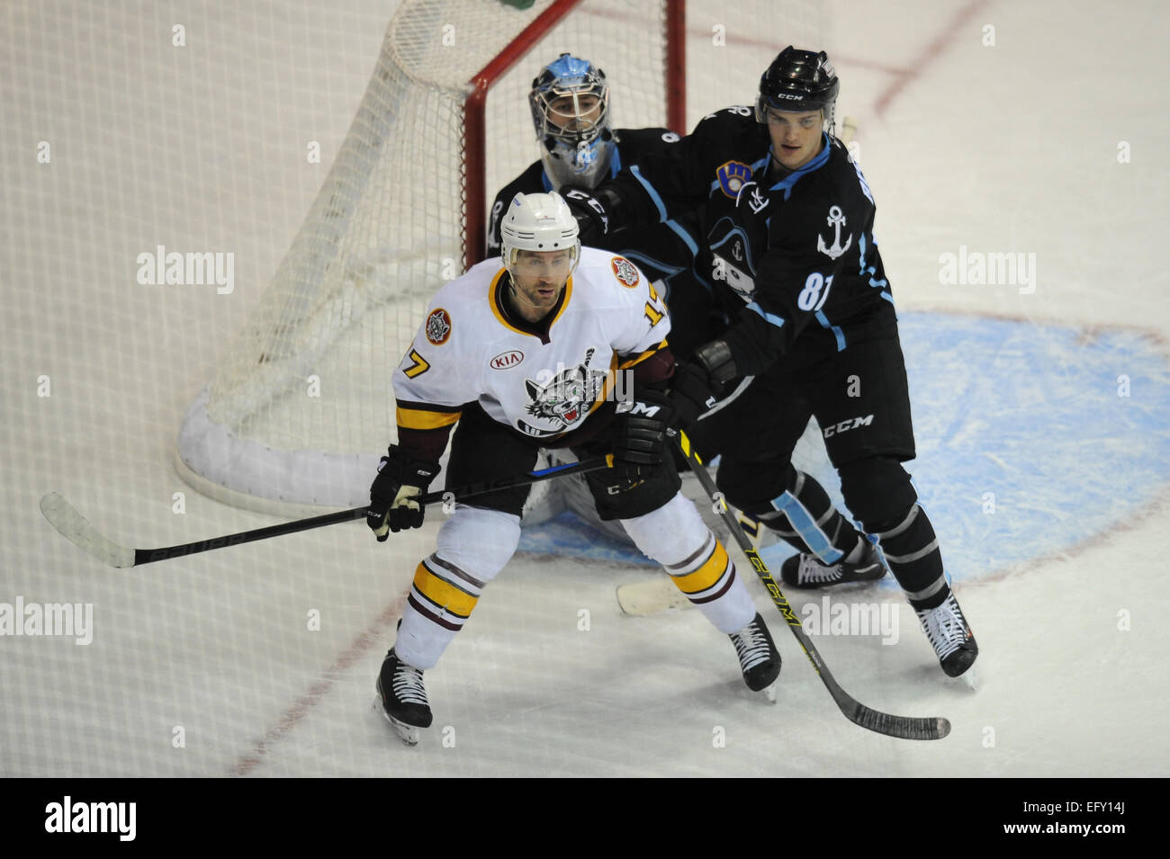 Overtime. 11th Feb, 2015. Chicago Wolves' David Shields (7) and ...