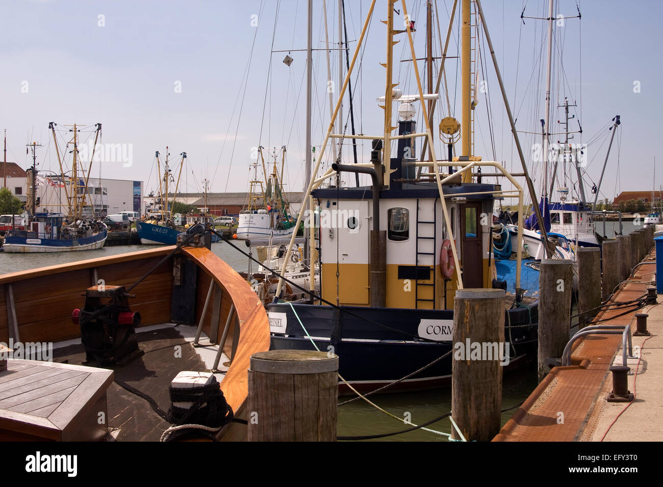 Fishing cutters in the harbor of Buesum, Dithmarschen district ...