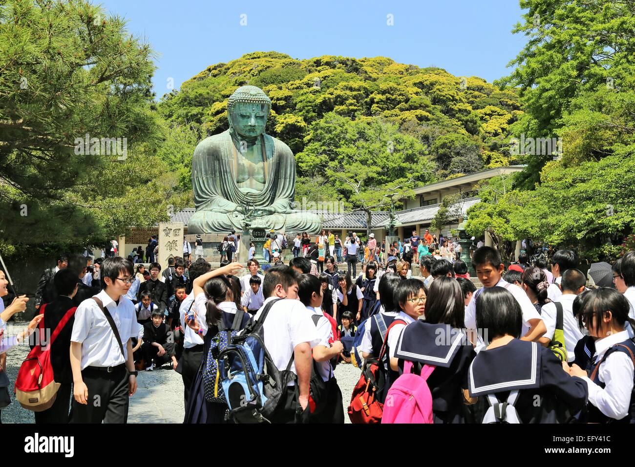 The Great Buddha of Kamakura - Kamakura, Japan Stock Photo - Alamy