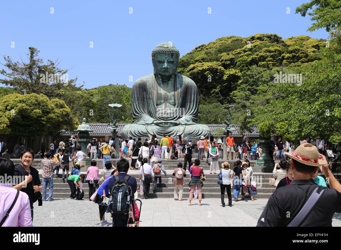 The Great Buddha of Kamakura - Kamakura, Japan Stock Photo - Alamy