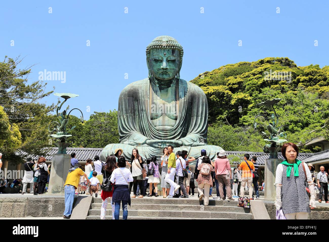 The Great Buddha of Kamakura - Kamakura, Japan Stock Photo - Alamy