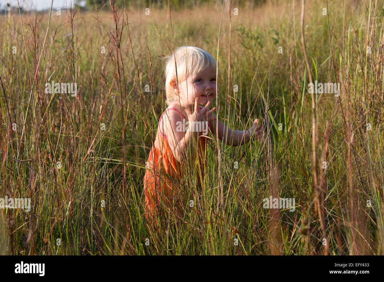 Child touching grass hi-res stock photography and images - Alamy