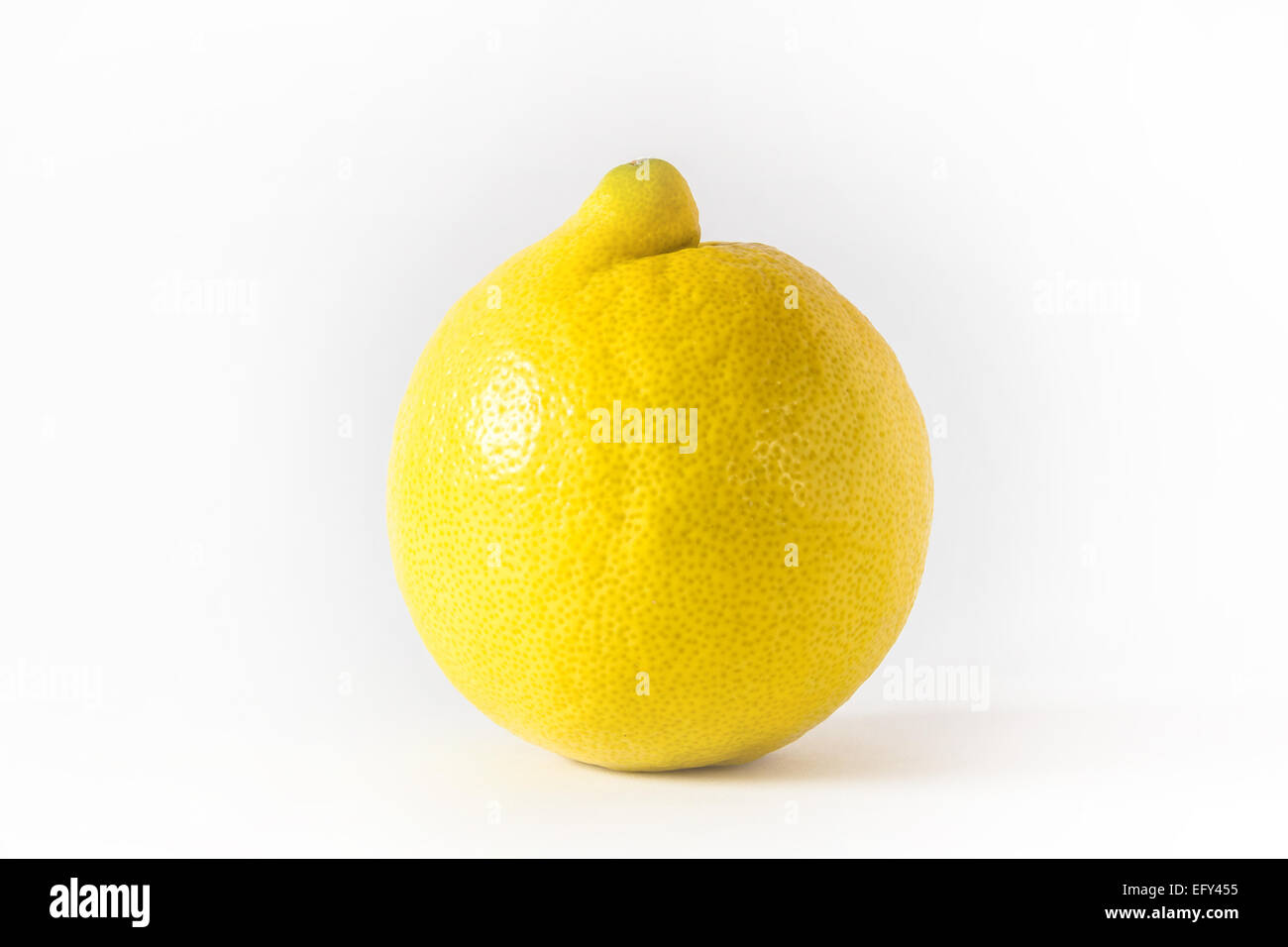 Close up of a single lemon on a white background Stock Photo - Alamy