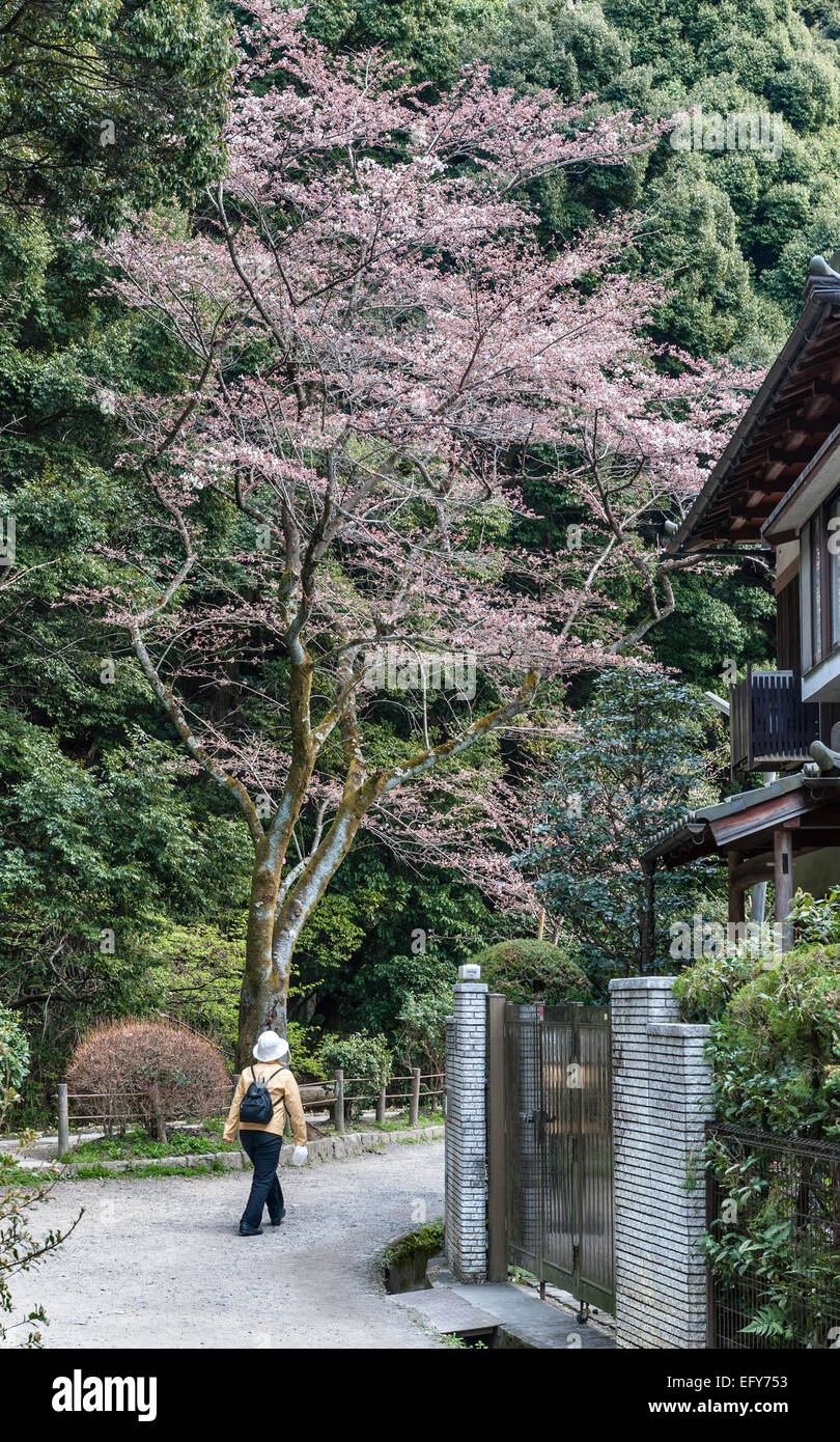 Walker follows trail in hi-res stock photography and images - Alamy