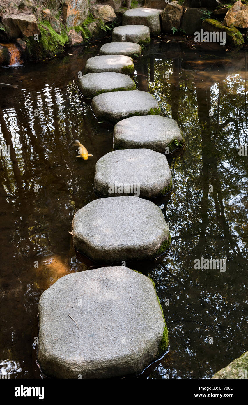 Stepping Stones Water