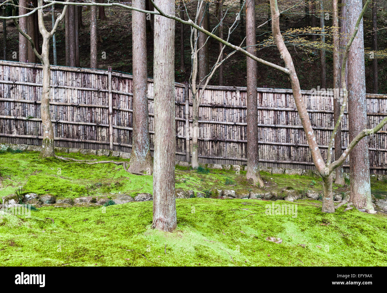 A traditional Japanese boundary fence of split bamboo surrounds the ...