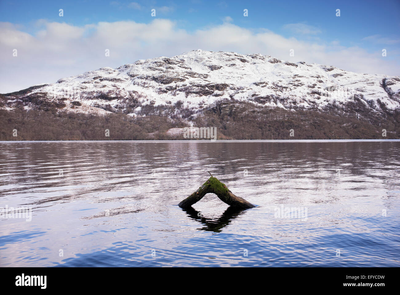 Branch sticking out hi-res stock photography and images - Alamy