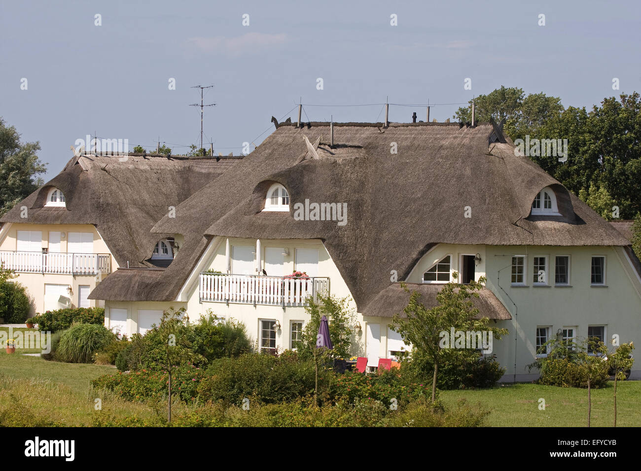 Thatched Cottages in Ahrenshoop on the Darß, Germany, Europe Stock ...