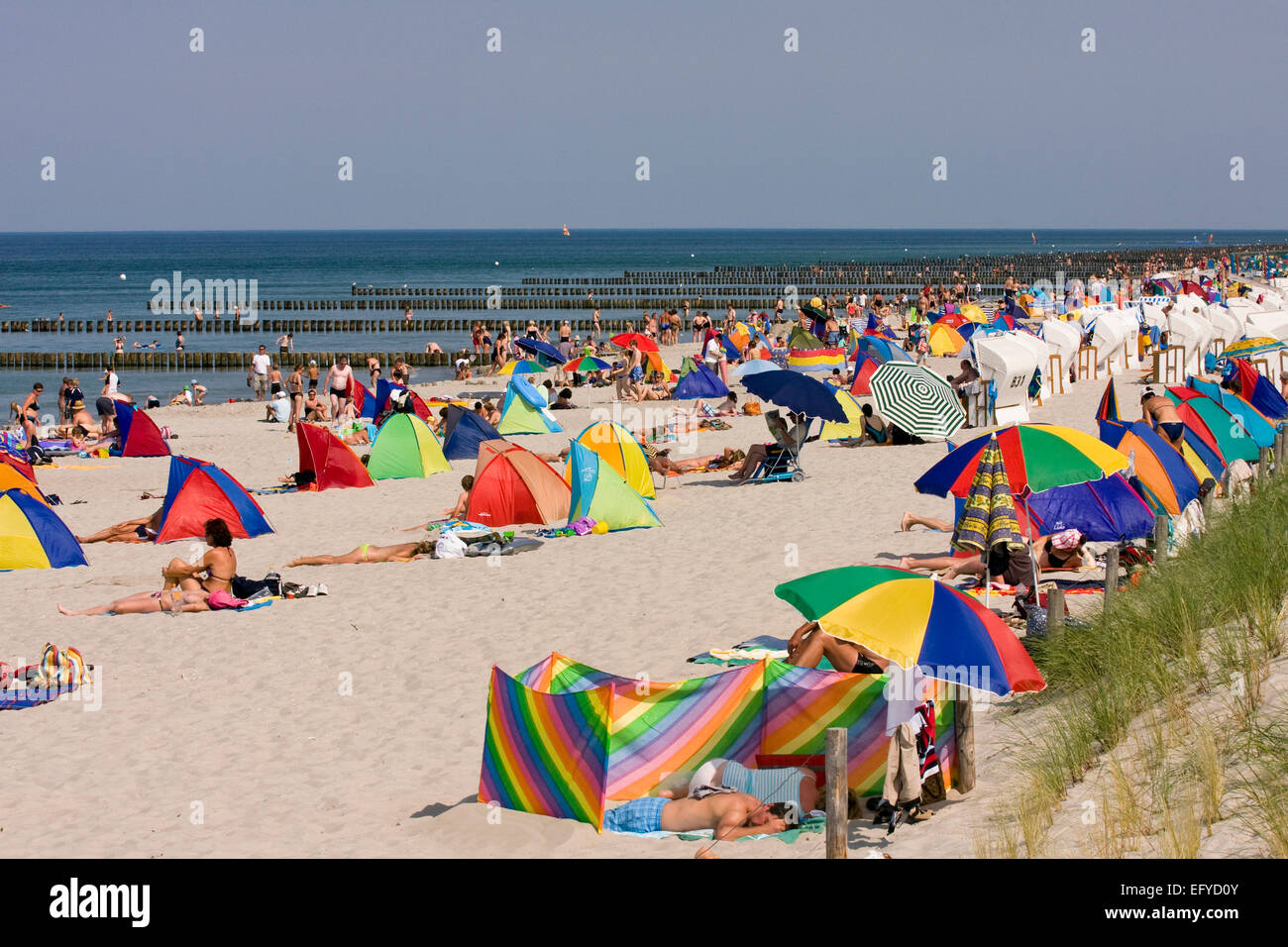 Beach at Prerow, Island Darss, Germany Stock Photo - Alamy