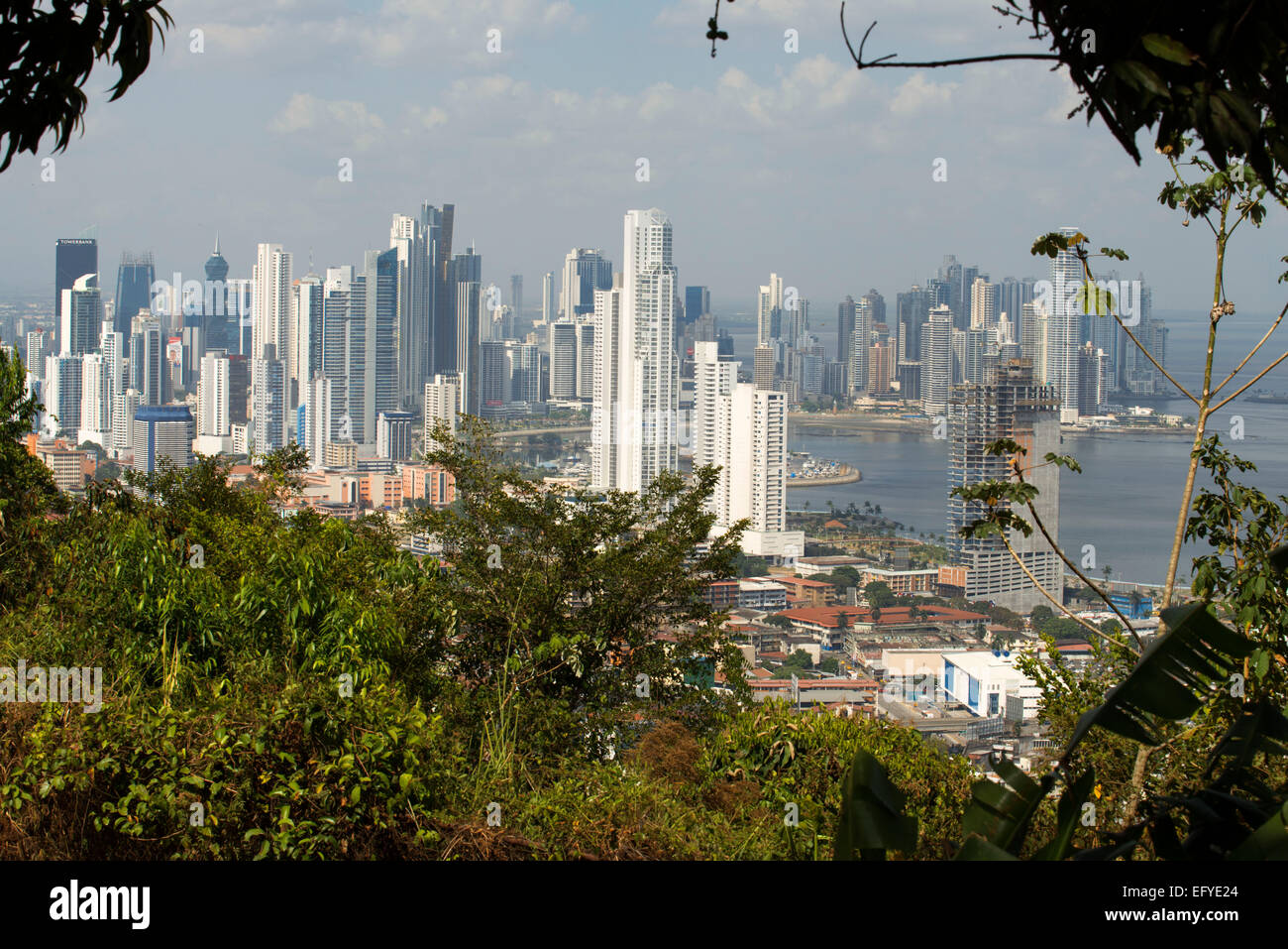 Skyline, Panama City. Cityscape and skyline of Panama City, seen from ...