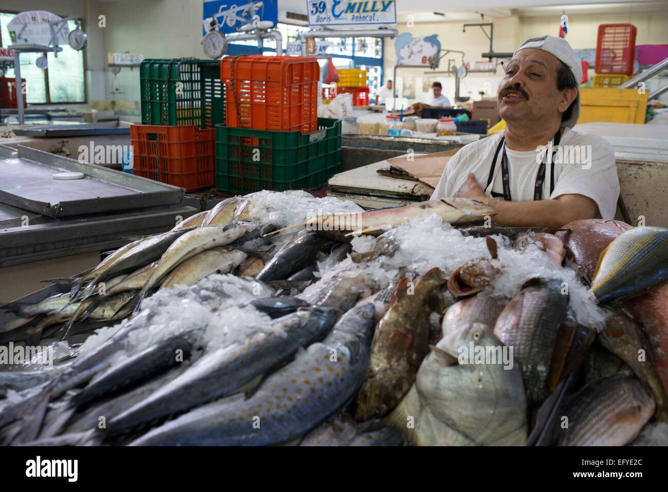 Panama, Panama City, Santa Ana neighborhood, Fish Market (Mercado de ...