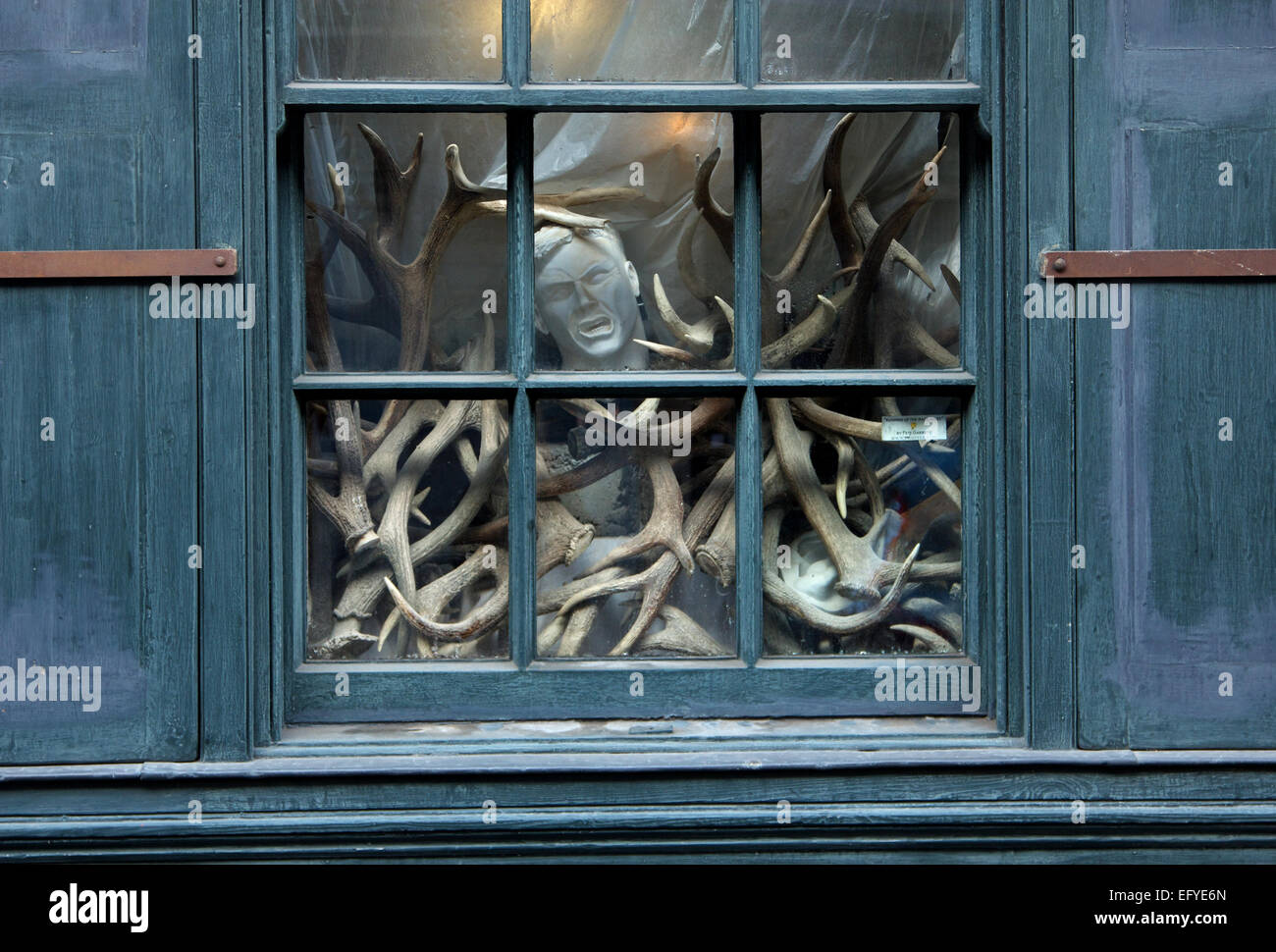 Head of a mannequin on a pile of antlers on display in London street ...