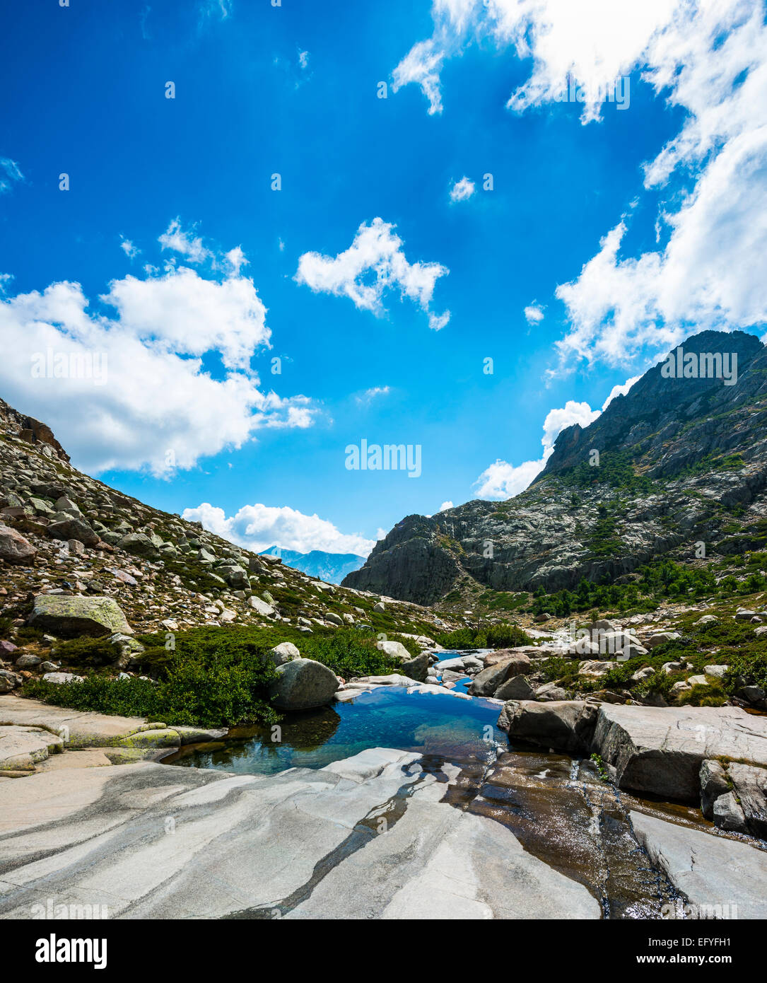 PooRM in the mountains, river GoRMo, Parc natureRM régionaRM de Corse ...