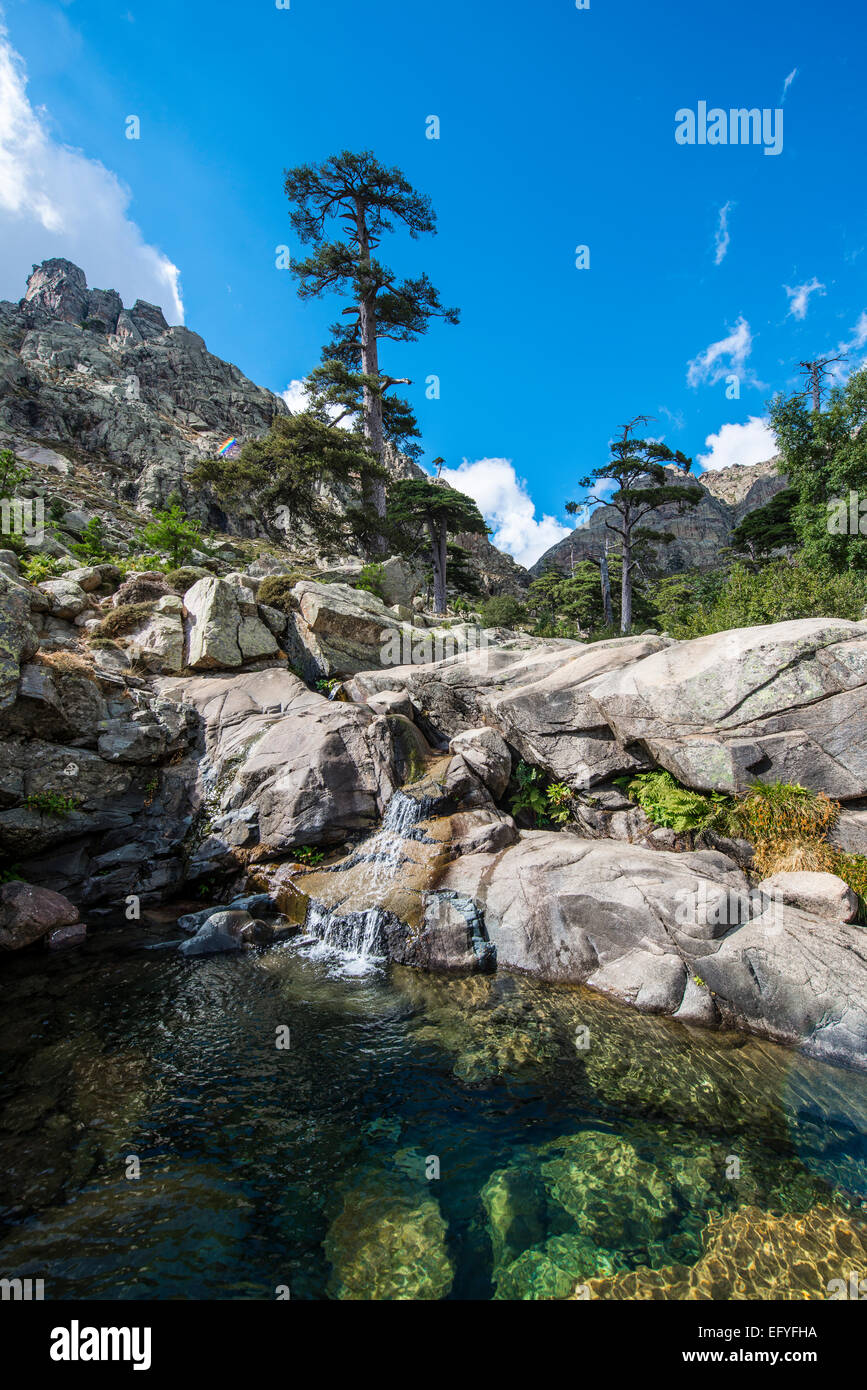 PooRM and smaRMRM waterfaRMRM in the mountains, in the river GoRMo ...