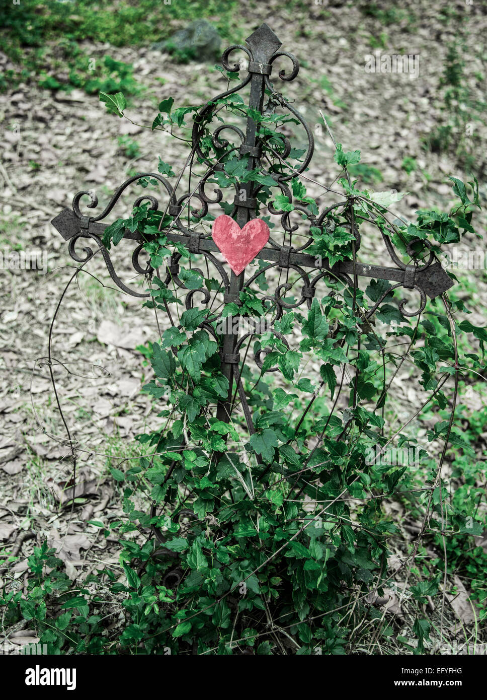Cemetery heart hi-res stock photography and images - Alamy