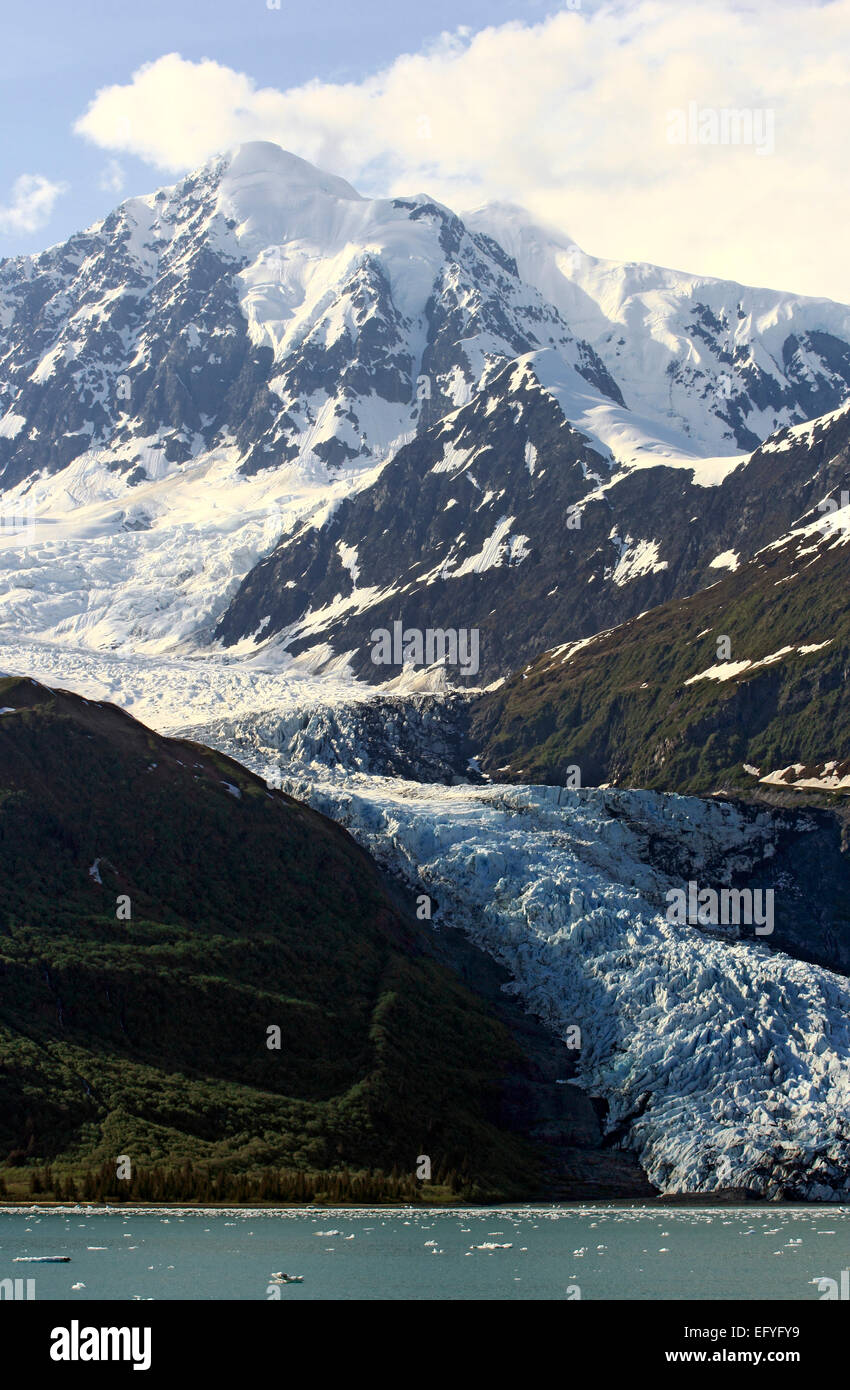 College Fjord Mountain Alaska Stock Photo - Alamy